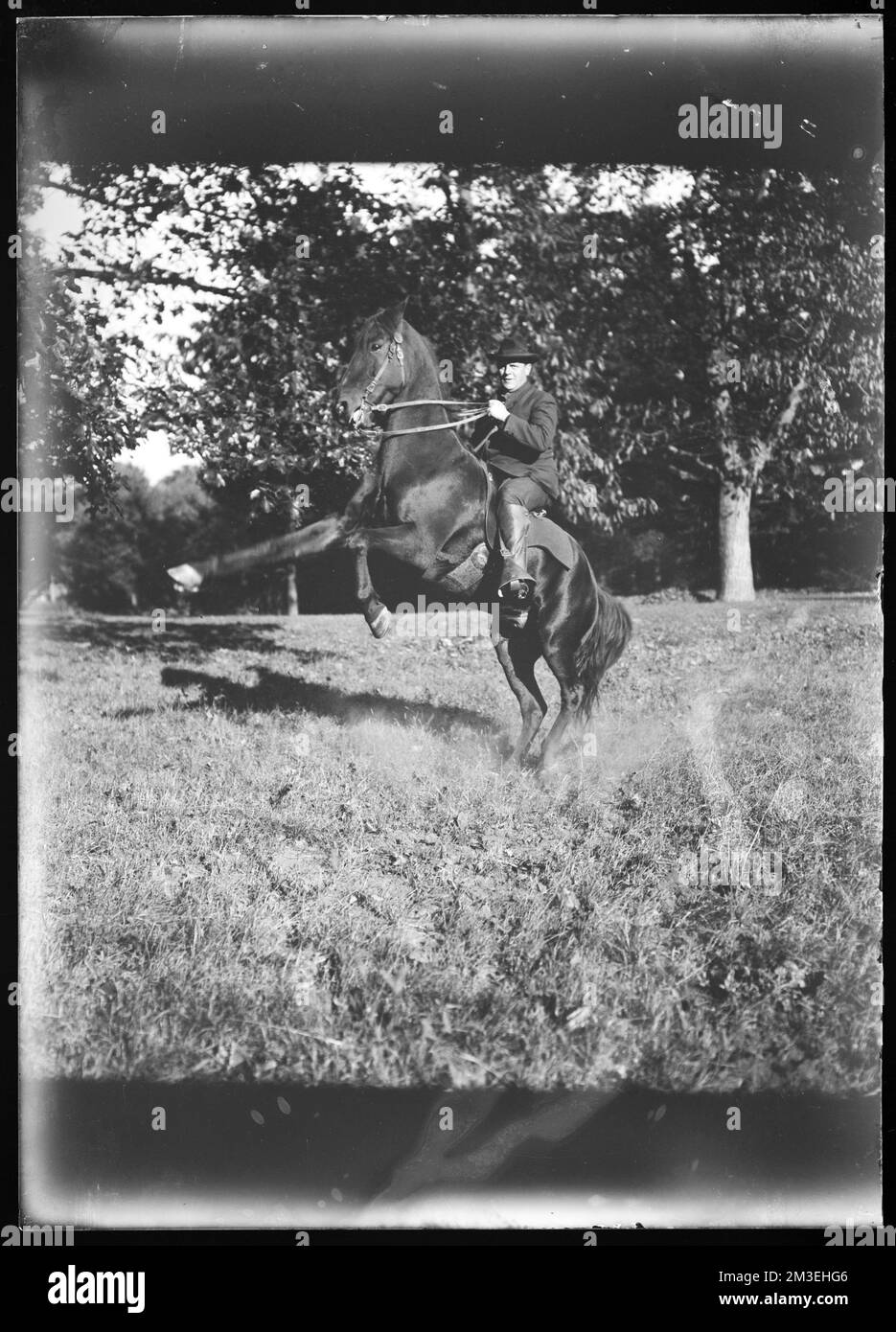 Stirrup collection Black and White Stock Photos & Images - Alamy