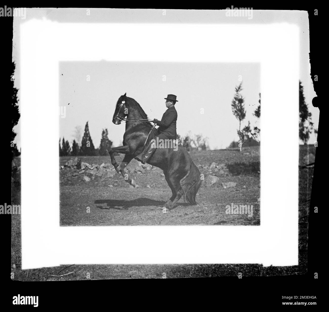 Man on horseback-horse rearing , People, Horses. Hingham Public Library ...