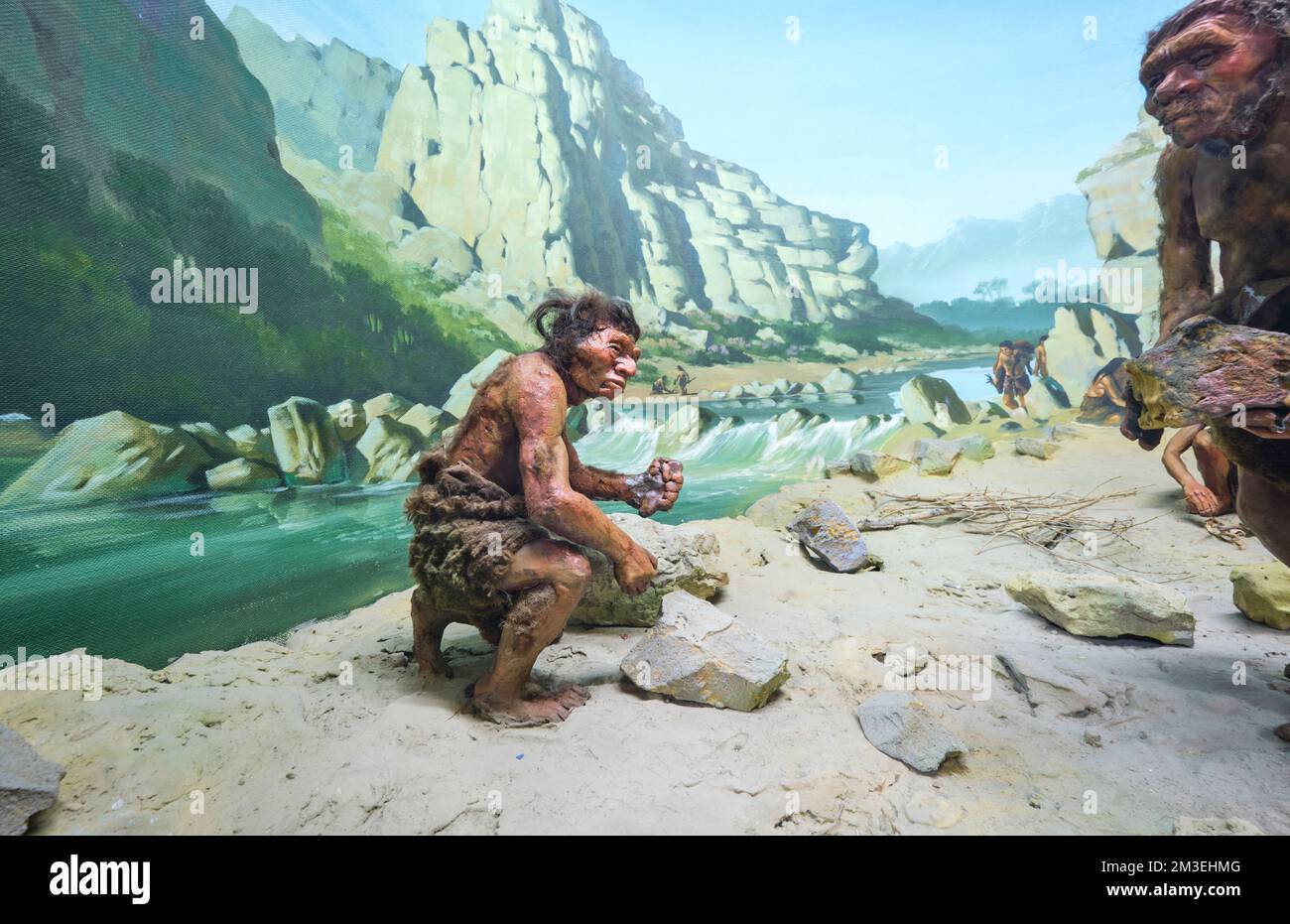 Museum diorama cave men hi-res stock photography and images - Alamy