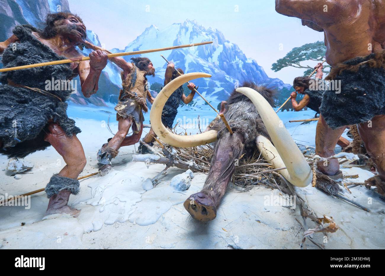Cave men, stone age men, attacking a mastadon, wooly mamoth with rocks ...