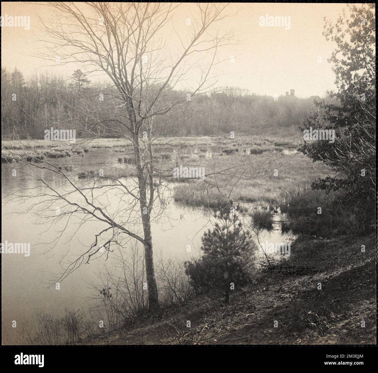 Mann's Pond, Sharon MA ,. Sharon Public Library Photo Collection Stock ...