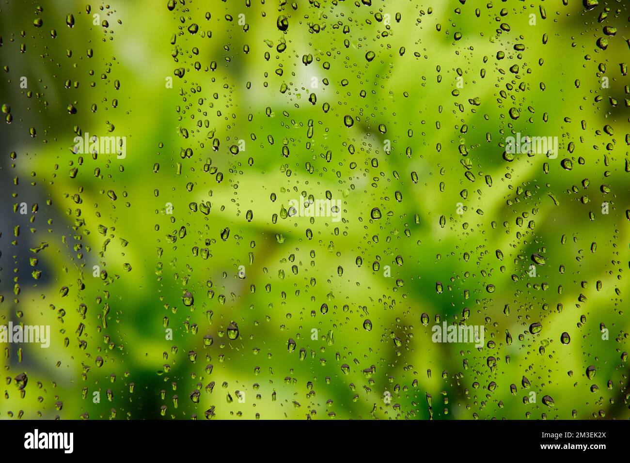 The scenery outside the window on a rainy day Stock Photo - Alamy