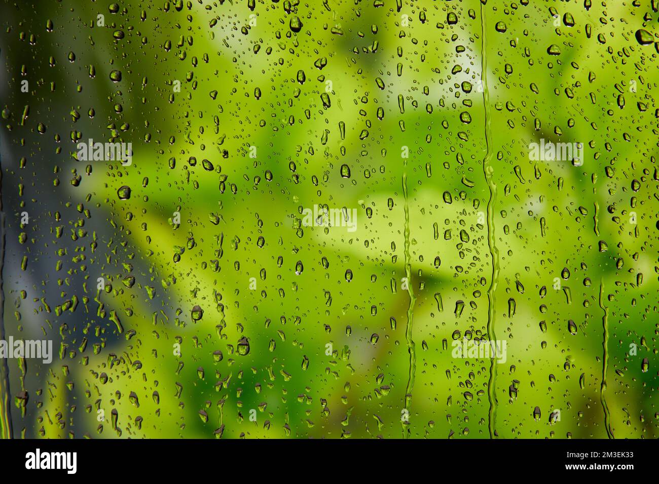 The scenery outside the window on a rainy day Stock Photo - Alamy