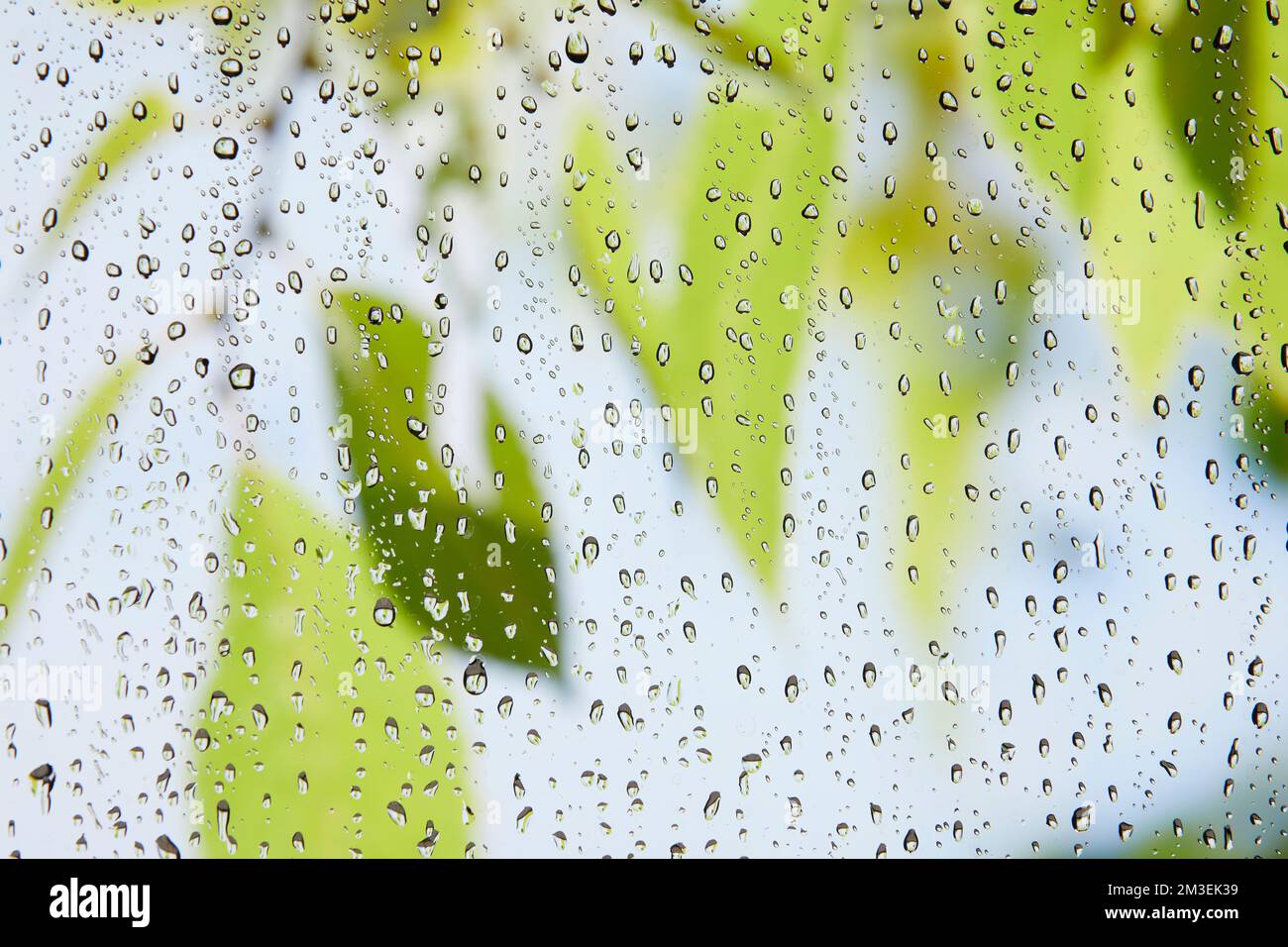 The scenery outside the window on a rainy day Stock Photo - Alamy
