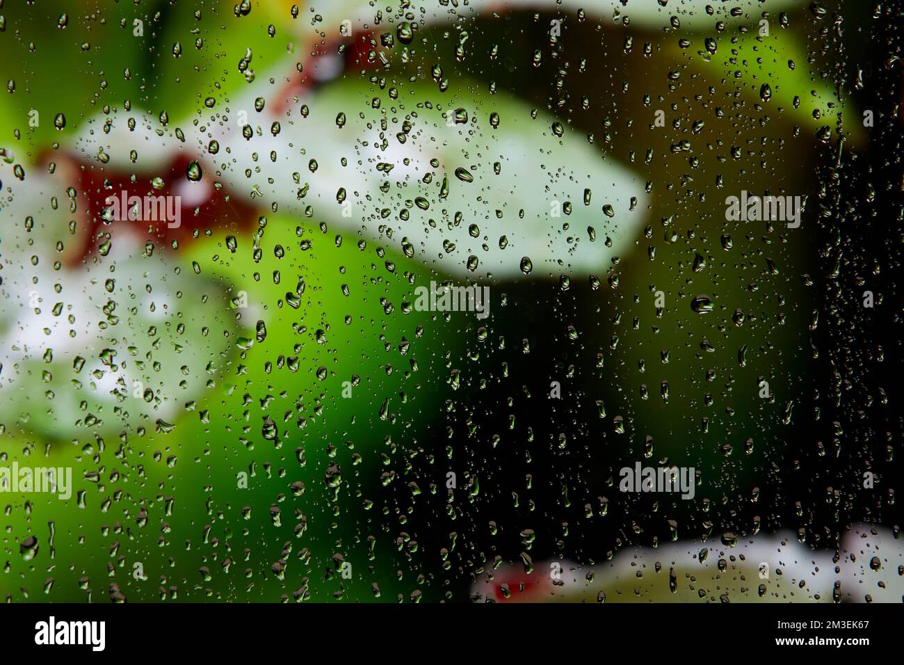 The scenery outside the window on a rainy day Stock Photo - Alamy