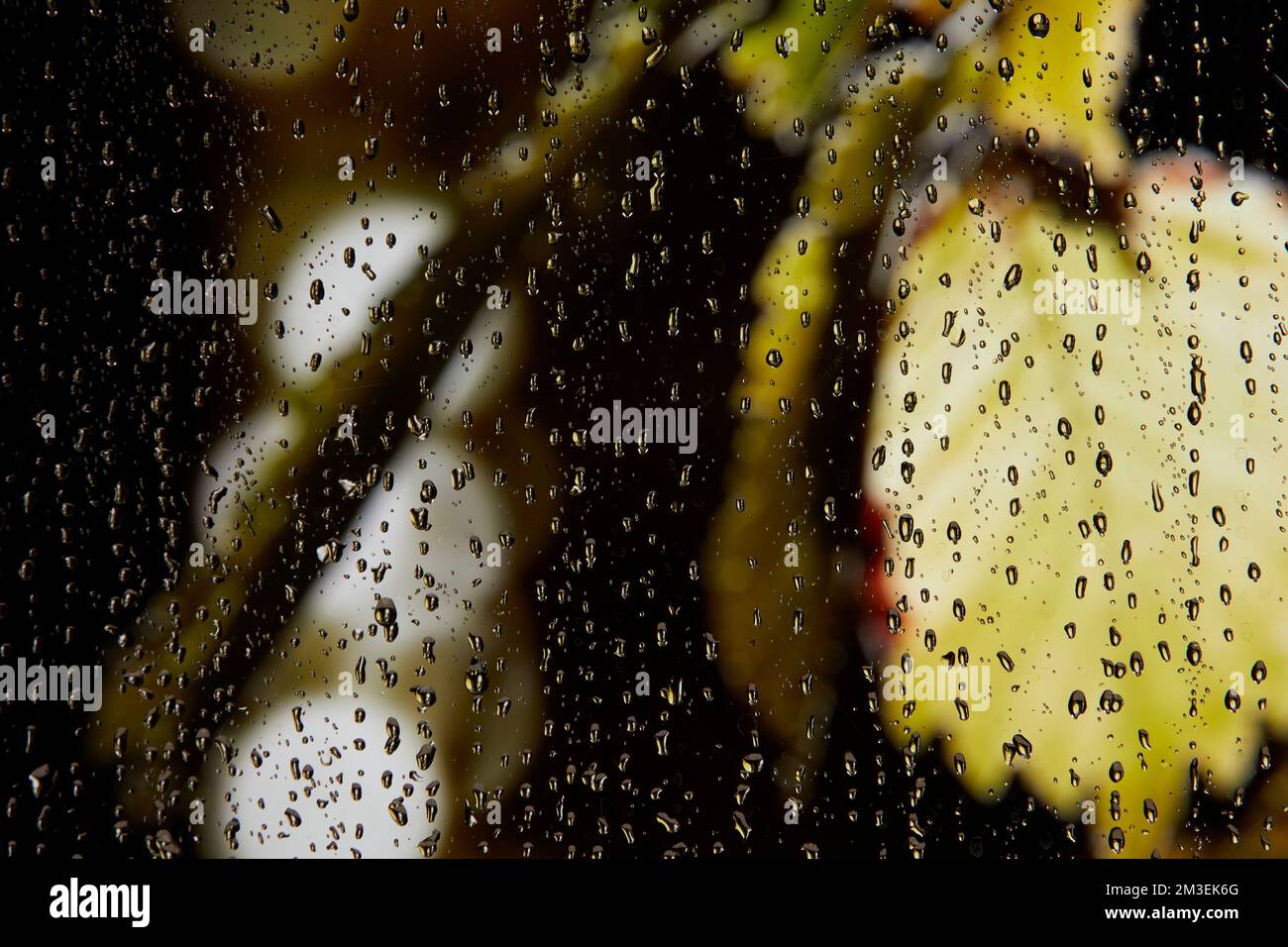 The scenery outside the window on a rainy day Stock Photo - Alamy