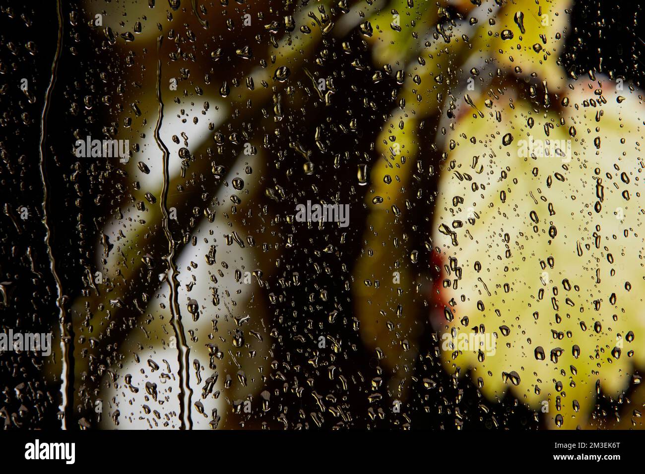 The scenery outside the window on a rainy day Stock Photo - Alamy