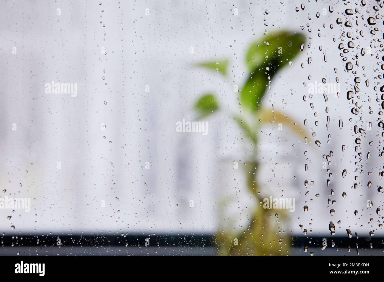 The scenery outside the window on a rainy day Stock Photo - Alamy