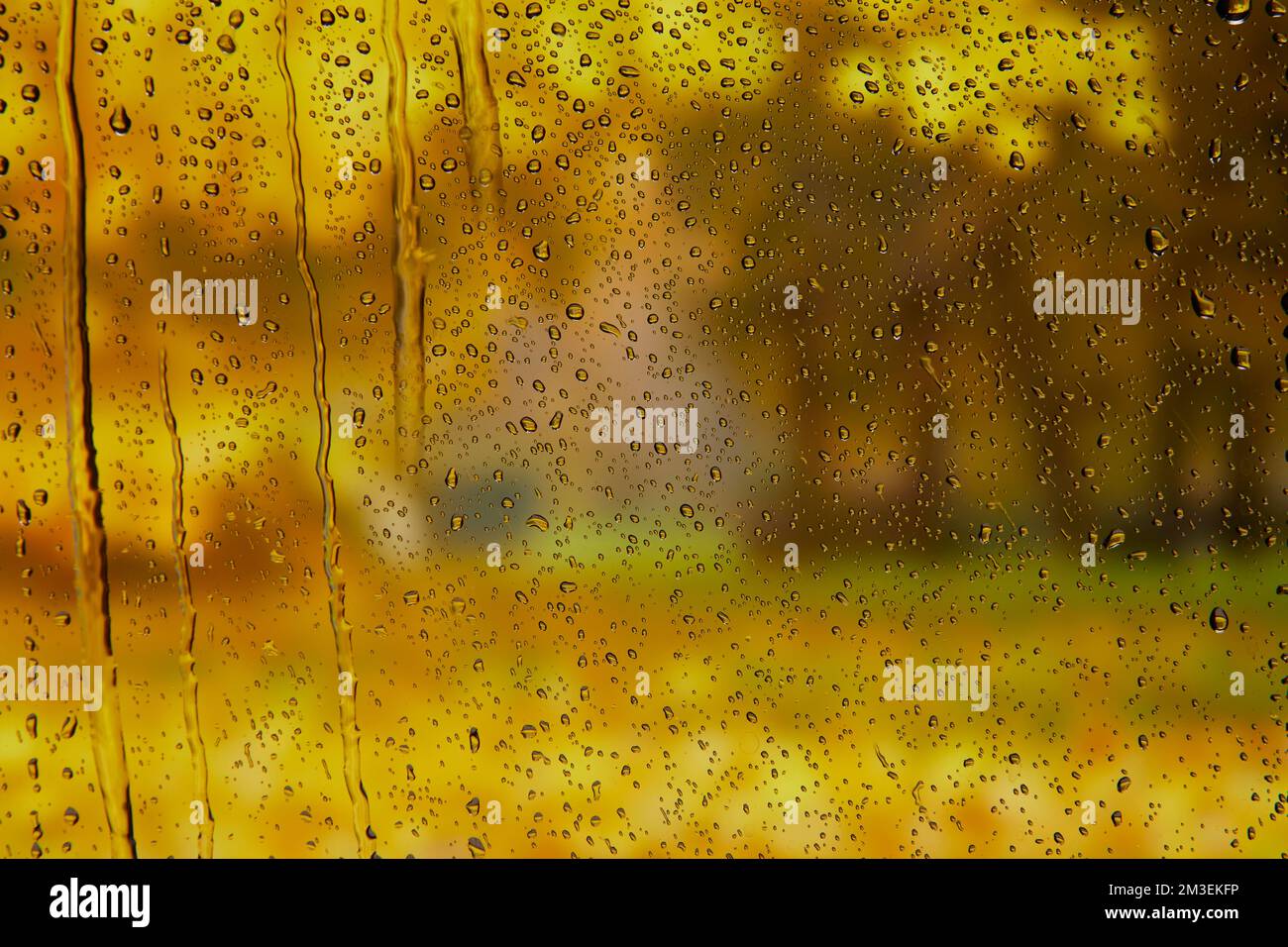 The scenery outside the window on a rainy day Stock Photo - Alamy