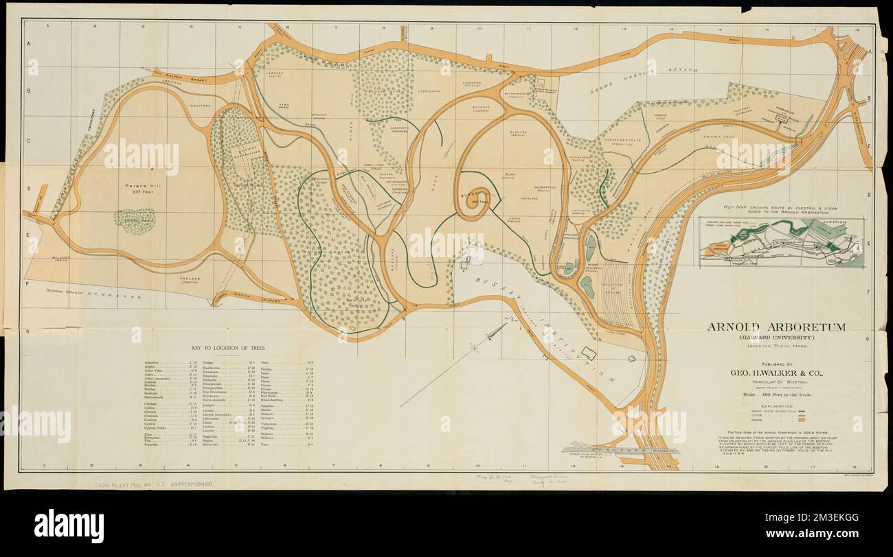 Map of Arnold Arboretum showing location of the trees and shrubs ...