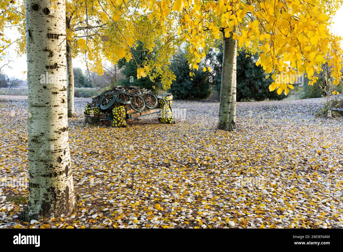 Archelosauria hi-res stock photography and images - Alamy