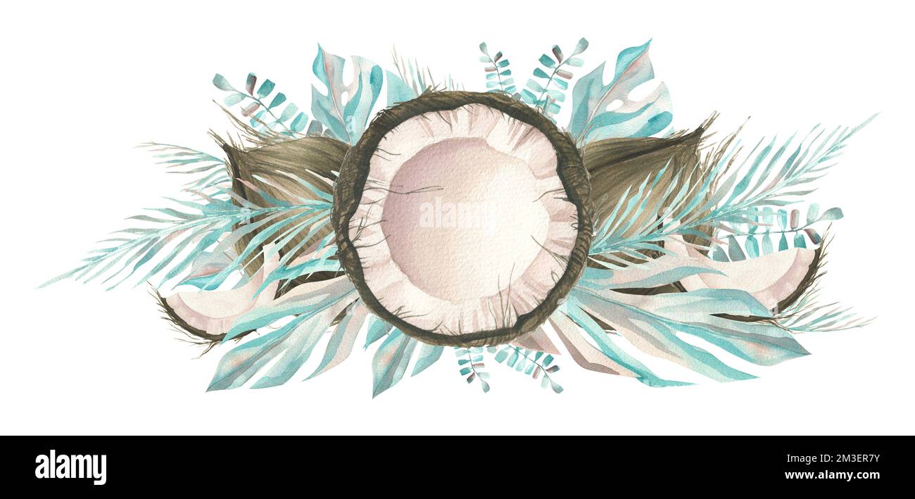 The coconuts are whole and opened with the leaves of tropical palm ...