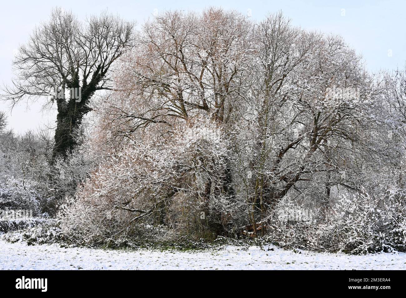 Snowy Conditions, Foots Cray Meadows, Nature Reserve, Sidcup, Kent. UK ...