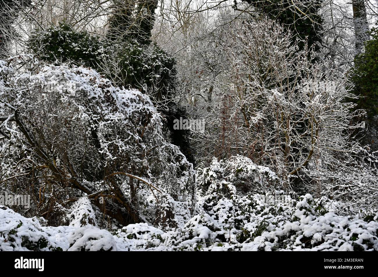 Snowy Conditions, Foots Cray Meadows, Nature Reserve, Sidcup, Kent. UK ...
