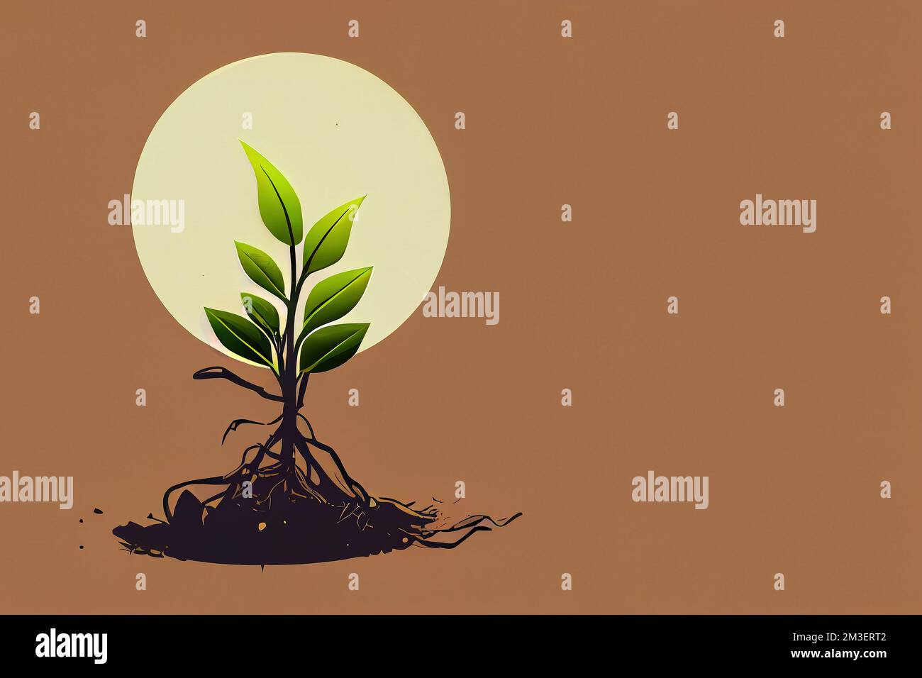 a plant with a large green leaf on top of it's roots in front of a full ...