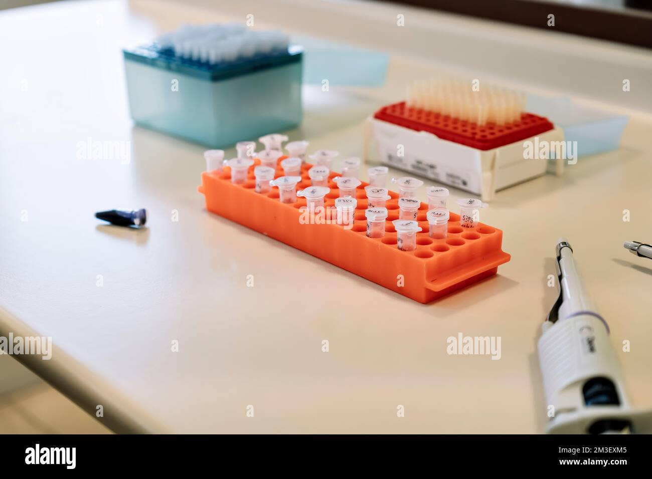 Concept science and technology. Top view of pipette and test tubes in a ...