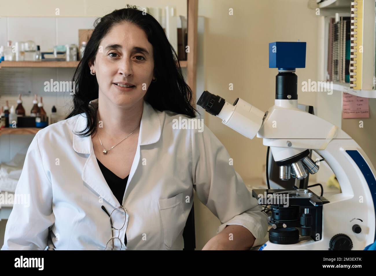 Scientist in the laboratory hi-res stock photography and images - Alamy