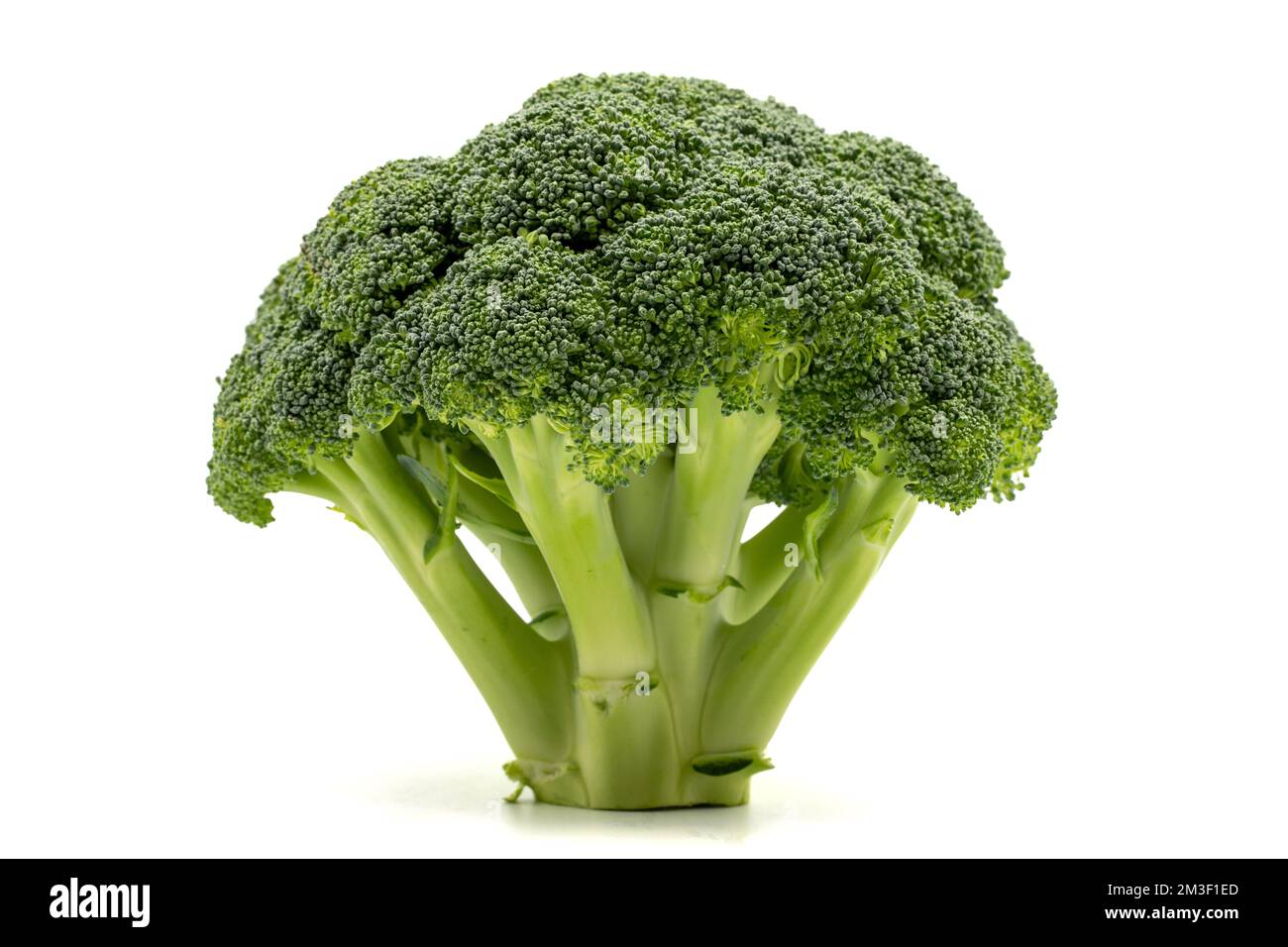 Broccoli isolated on a white background. Clipping Path. Full depth of ...