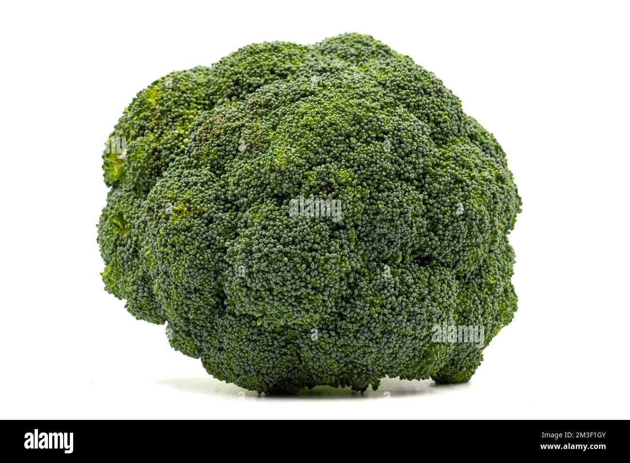 Broccoli isolated on a white background. Clipping Path. Full depth of ...