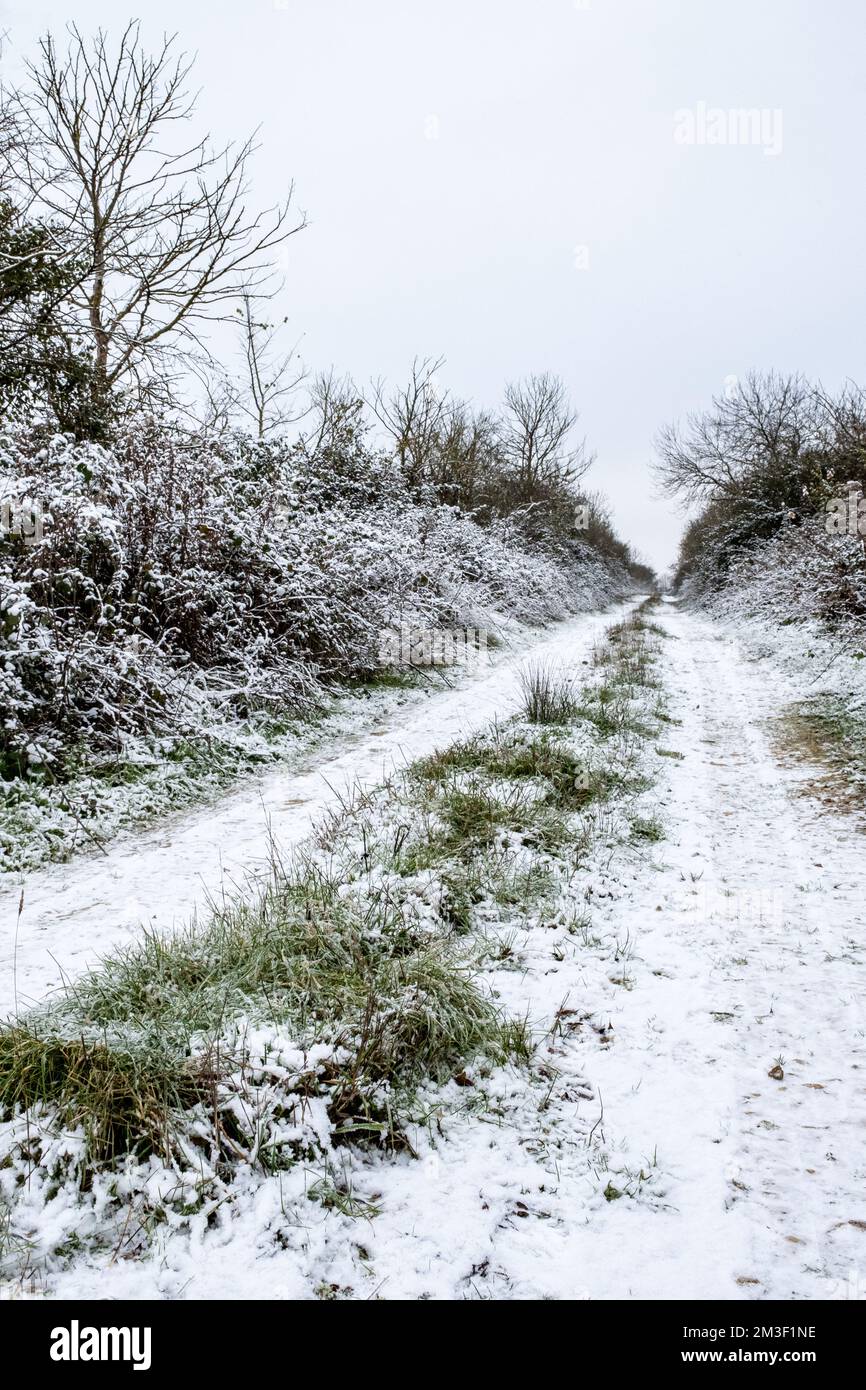 Covered tracks hi-res stock photography and images - Alamy