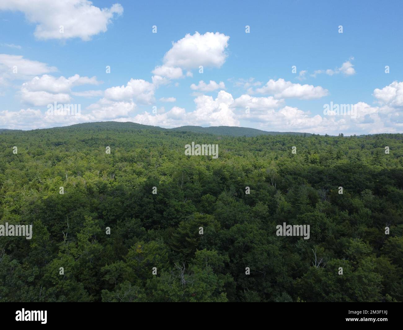 An aerial view of a forested hill Stock Photo - Alamy