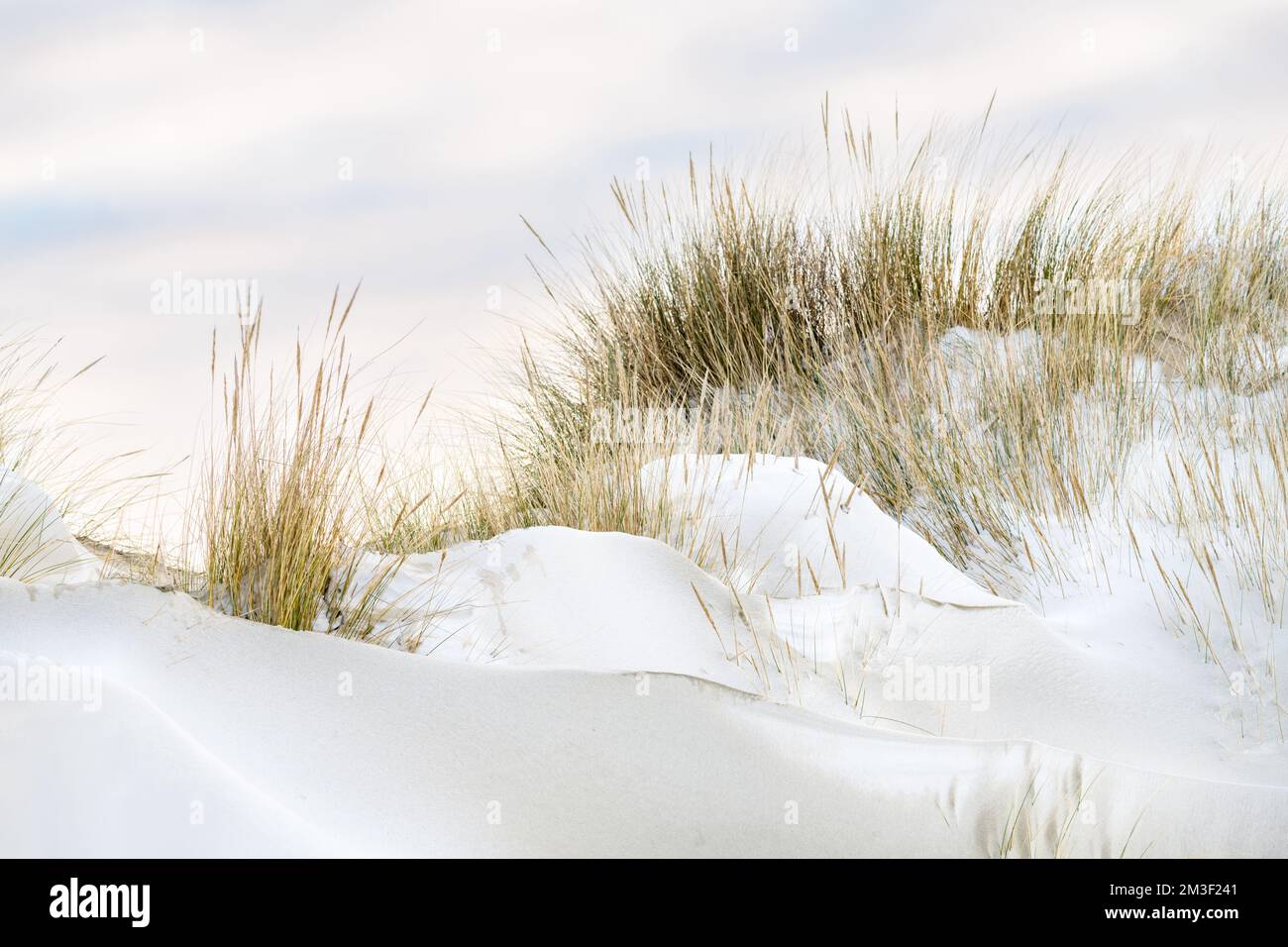 Beach Winter Snow Wallpaper