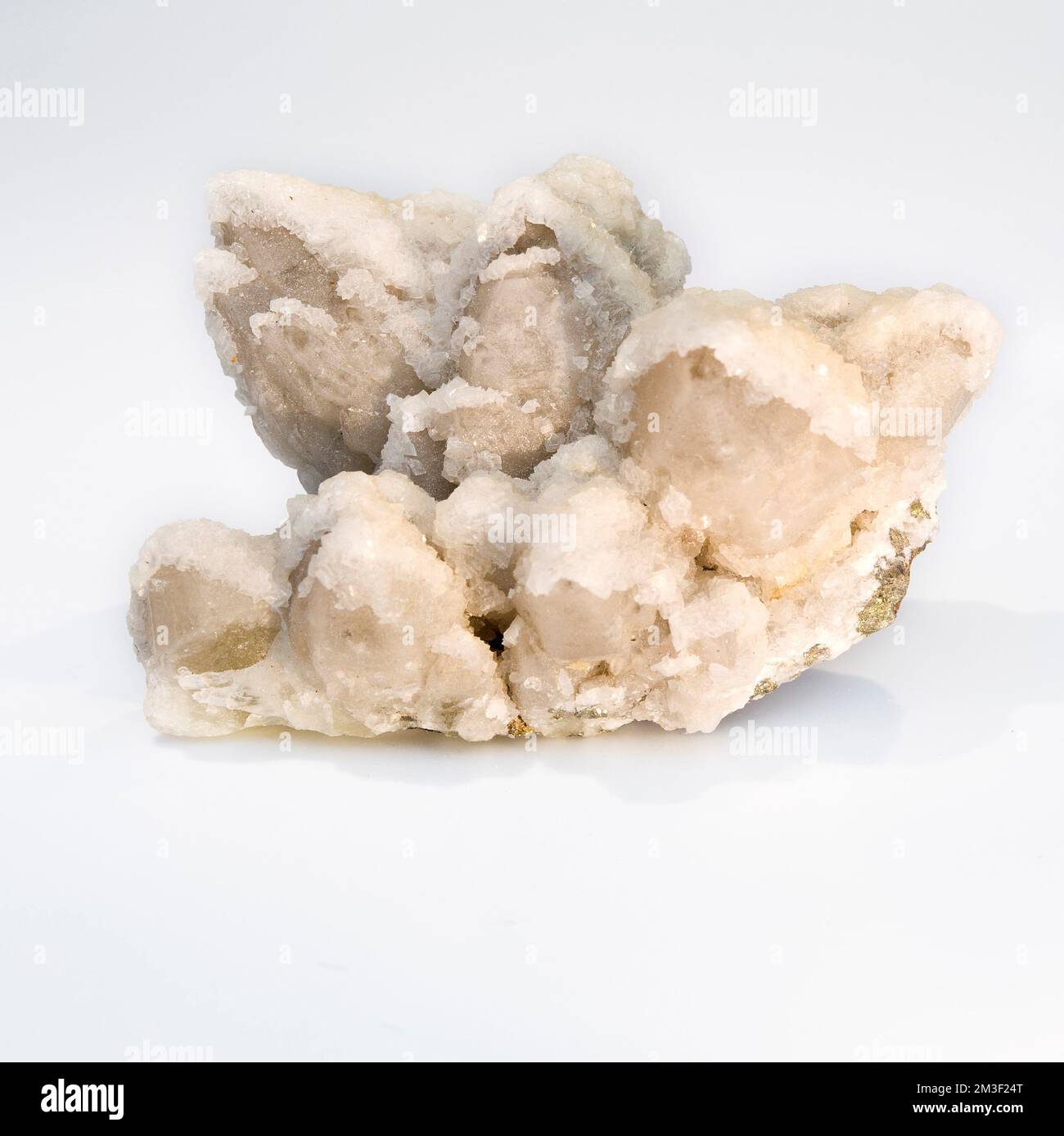 Morion image hi-res stock photography and images - Alamy