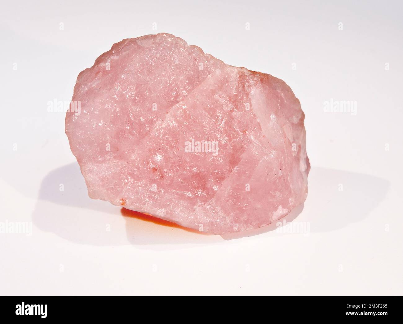 Macro close up colour photograph of a natural " Rose Quartz " a semi ...