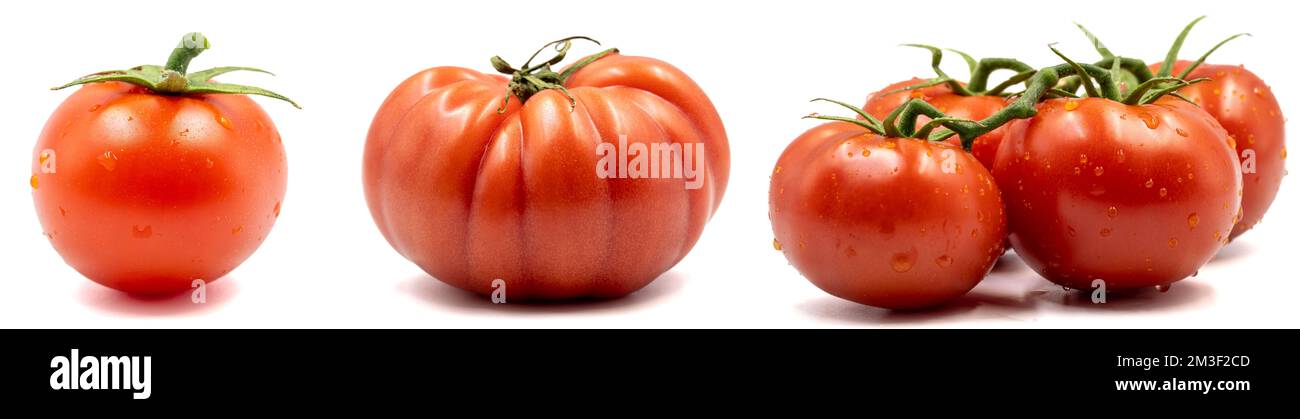 Set of tomato varieties images. Tomato isolated on white background ...