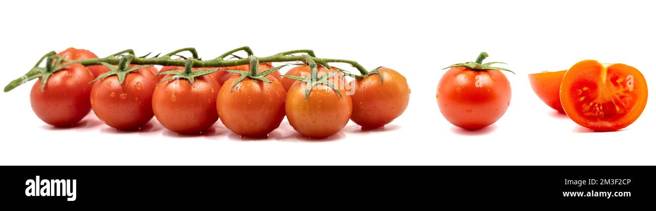 Set of tomato varieties images. Tomato isolated on white background ...