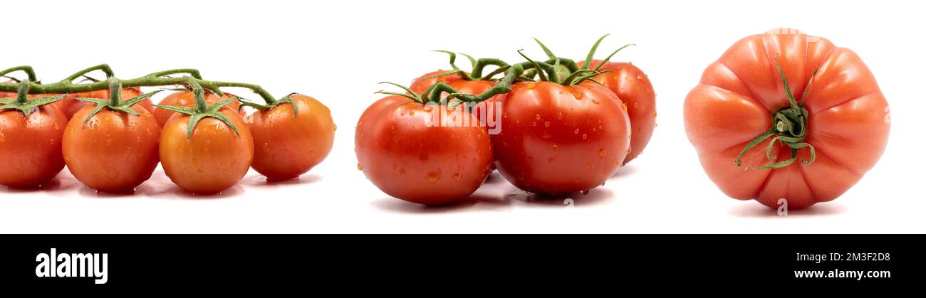 Set of tomato varieties images. Tomato isolated on white background ...