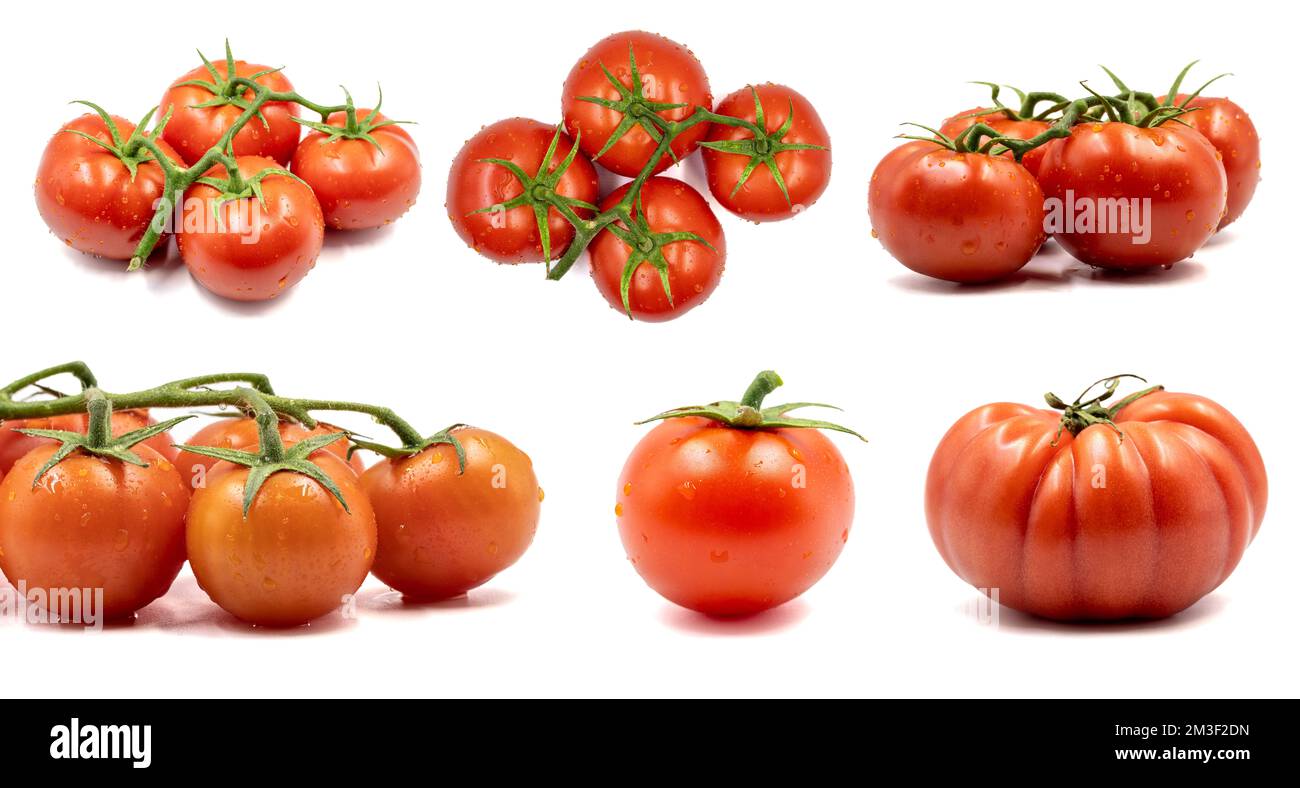Set of tomato varieties images. Tomato isolated on white background ...