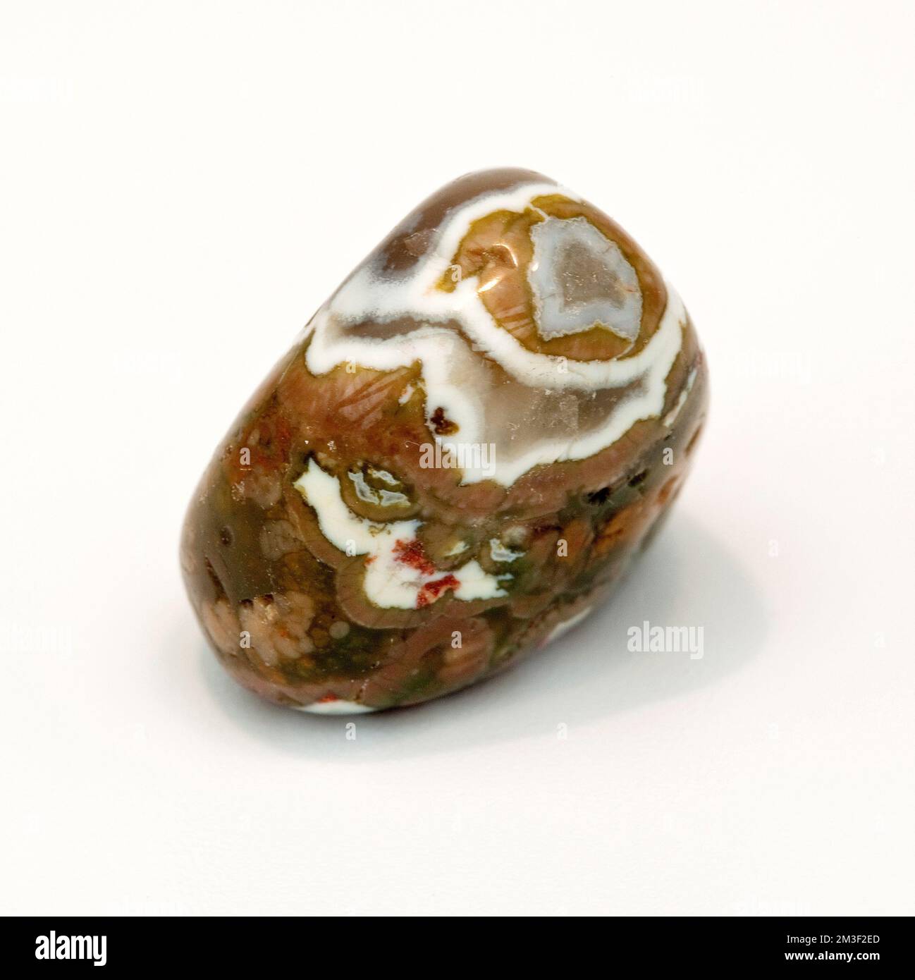 Macro close up colour photograph of ''Rain Forest Jasper ' a semi ...