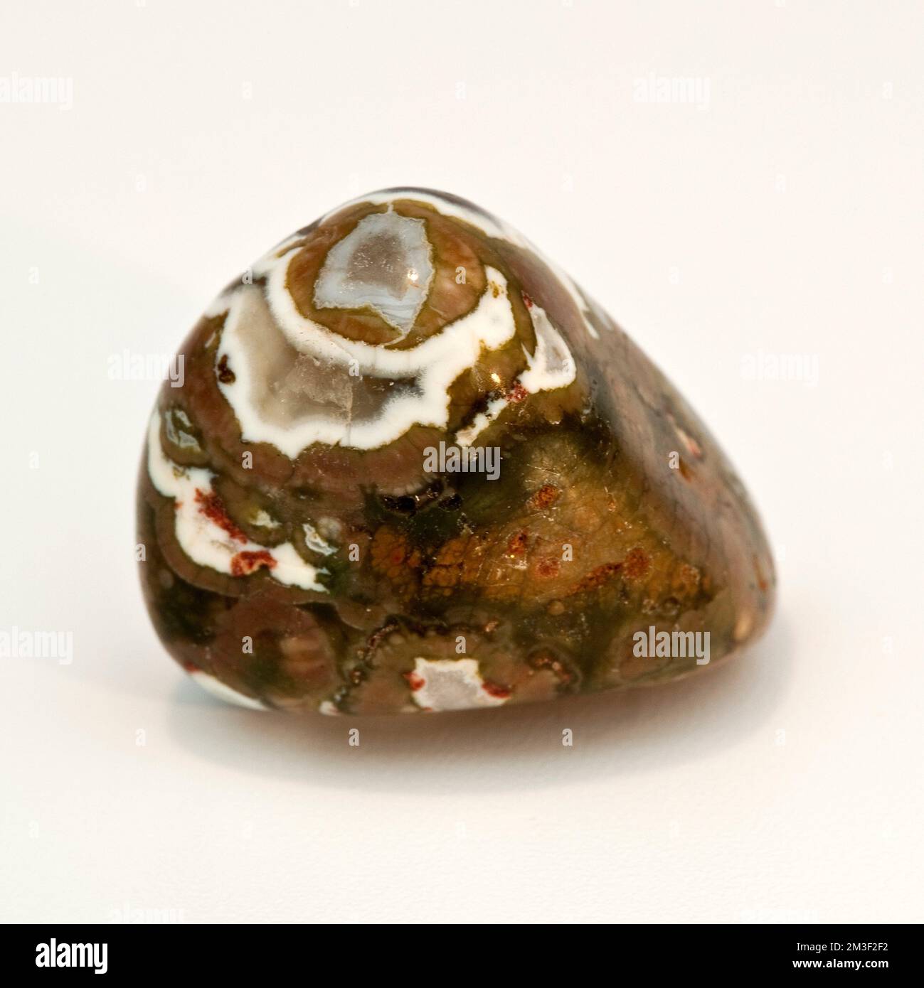 Macro close up colour photograph of ''Rain Forest Jasper' a semi ...