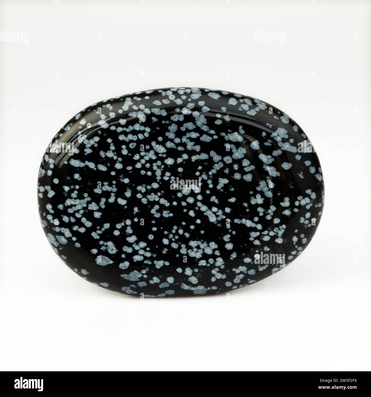 Macro close up colour photograph of 'Snowflake Obsidian Palmstone' a ...
