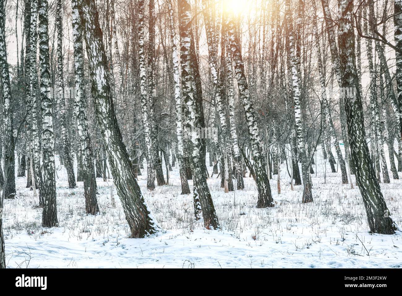 Winter russian landscape frozen trees hi-res stock photography and ...