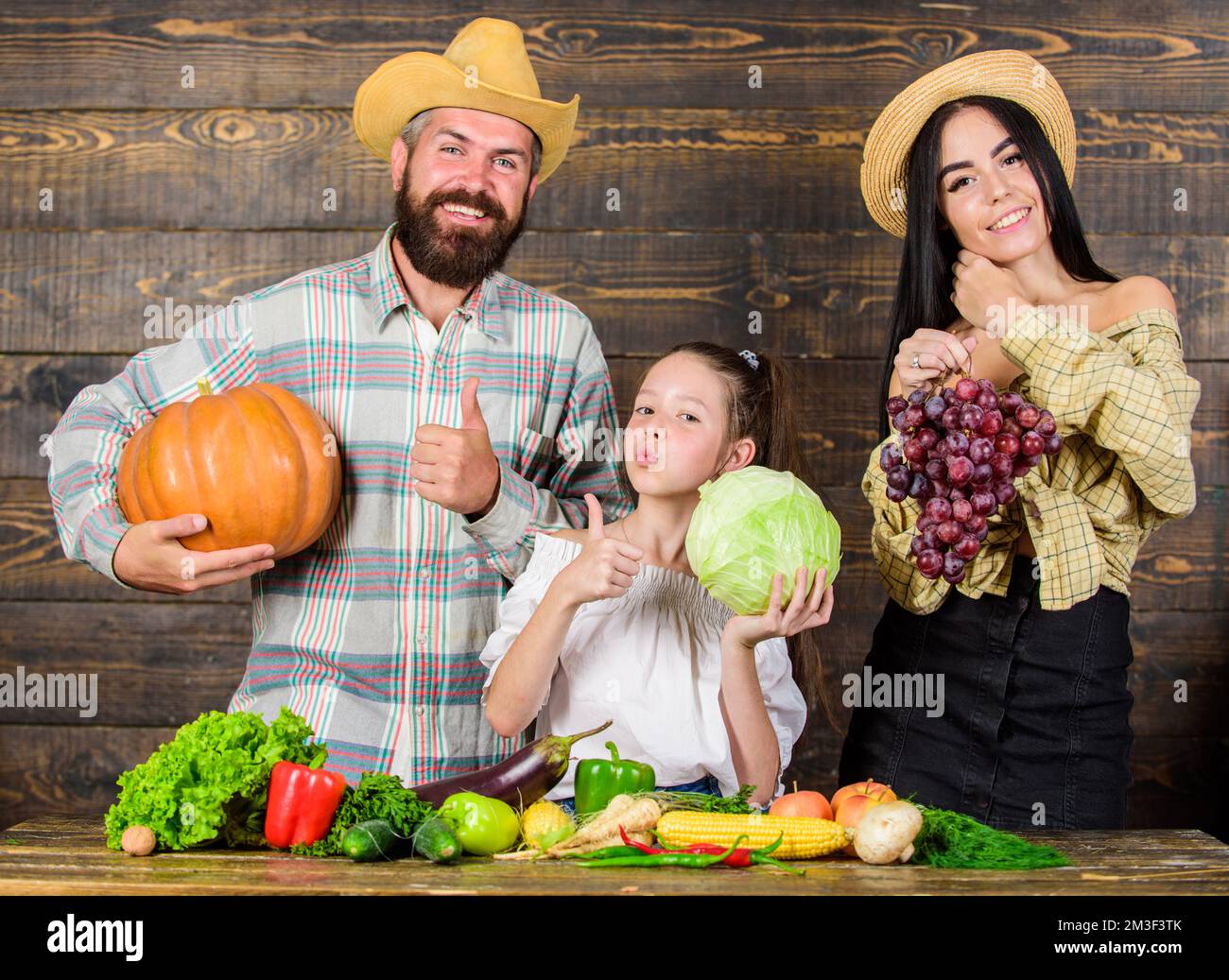 Parents and daughter celebrate harvest holiday pumpkin vegetables ...