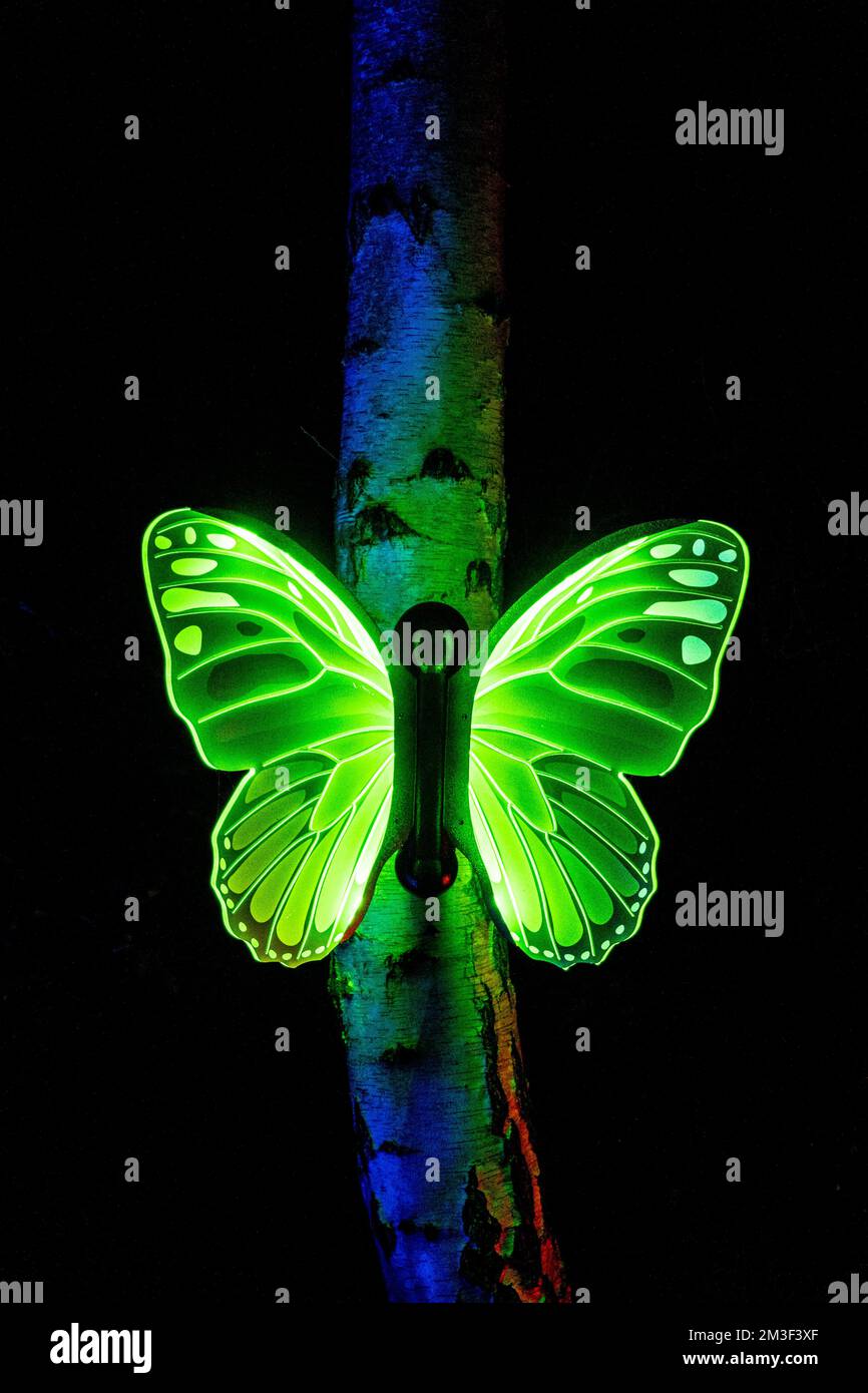 Illuminated flouresent butterflies on a tree Stock Photo - Alamy
