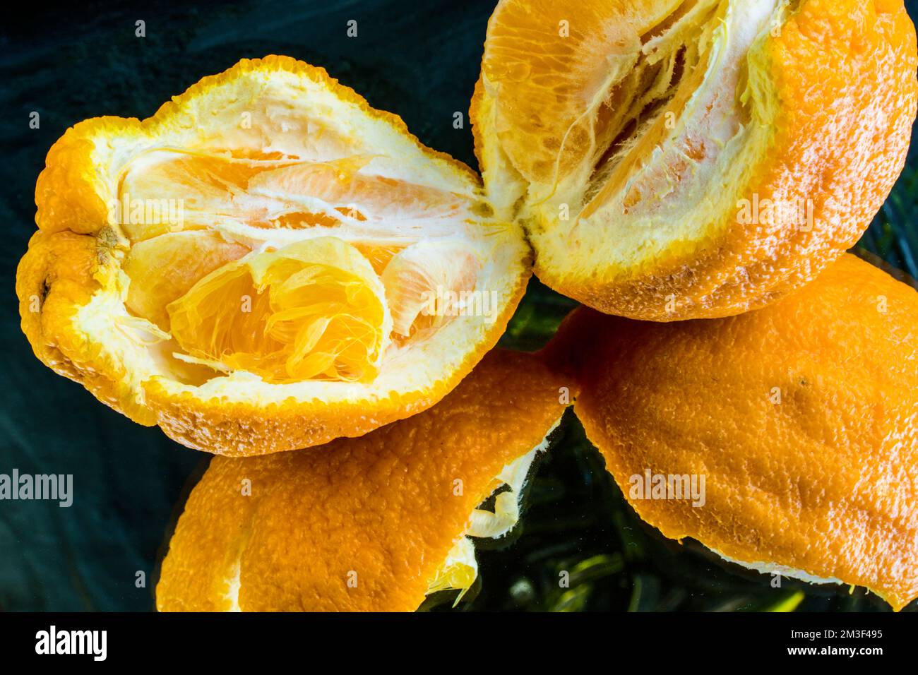 Close up food, fruit, still life of sweet oranges Stock Photo - Alamy