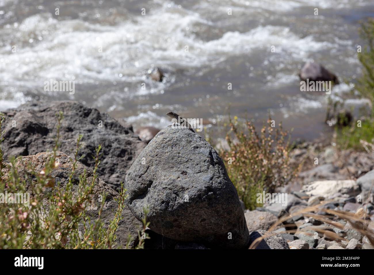 Landscape at Paso Vergara - crossing the border from Chile to Argentina ...