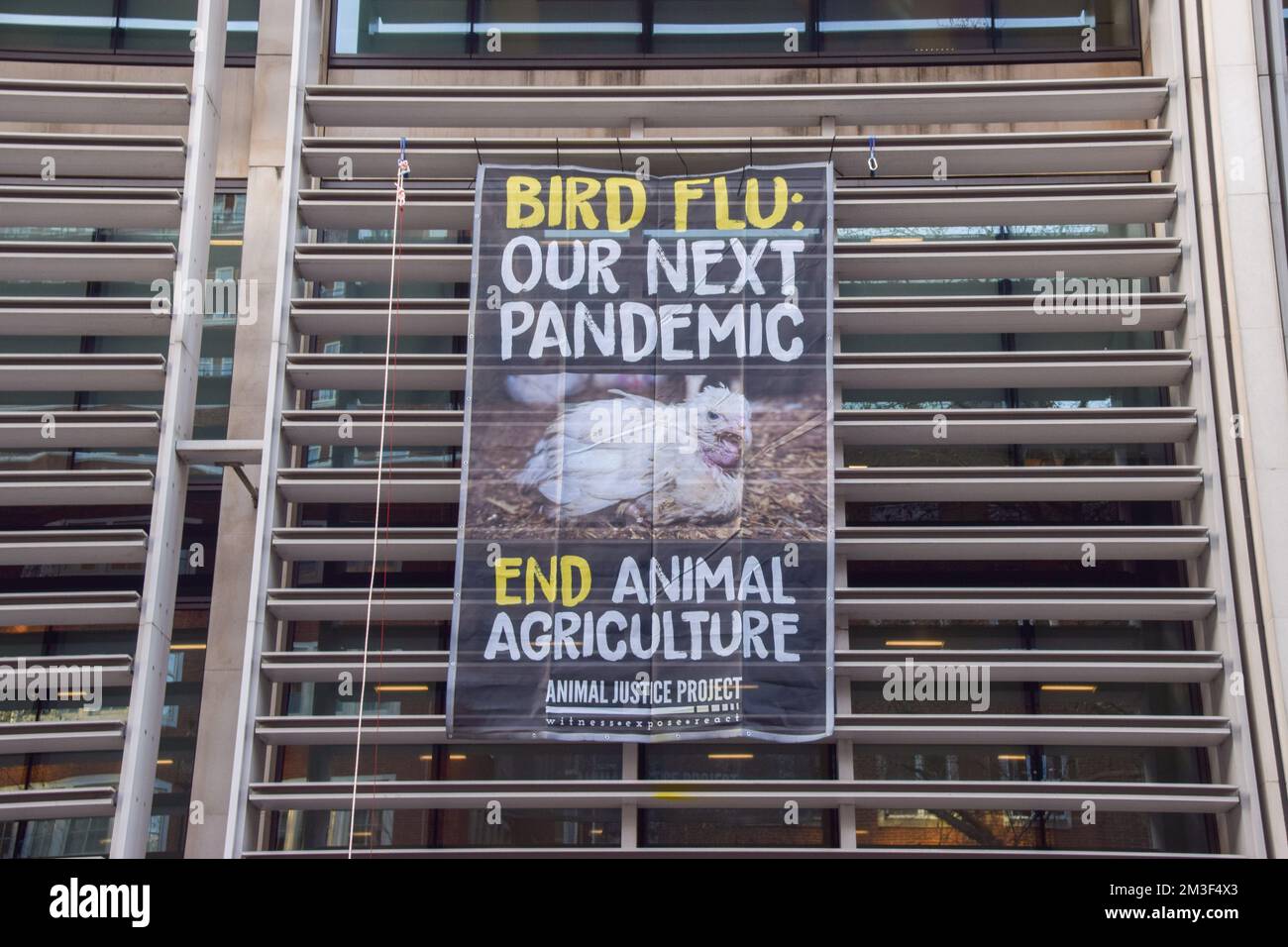 Animal justice porject hi-res stock photography and images - Alamy