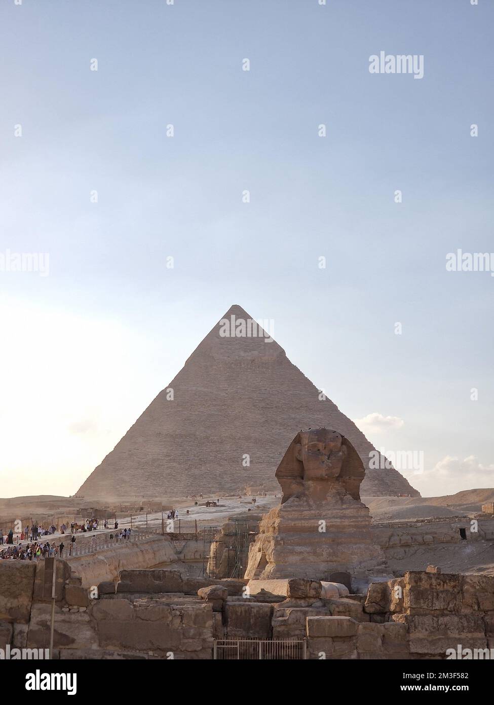 A vertical shot of the Great Sphinx of Giza at the pyramid Stock Photo ...