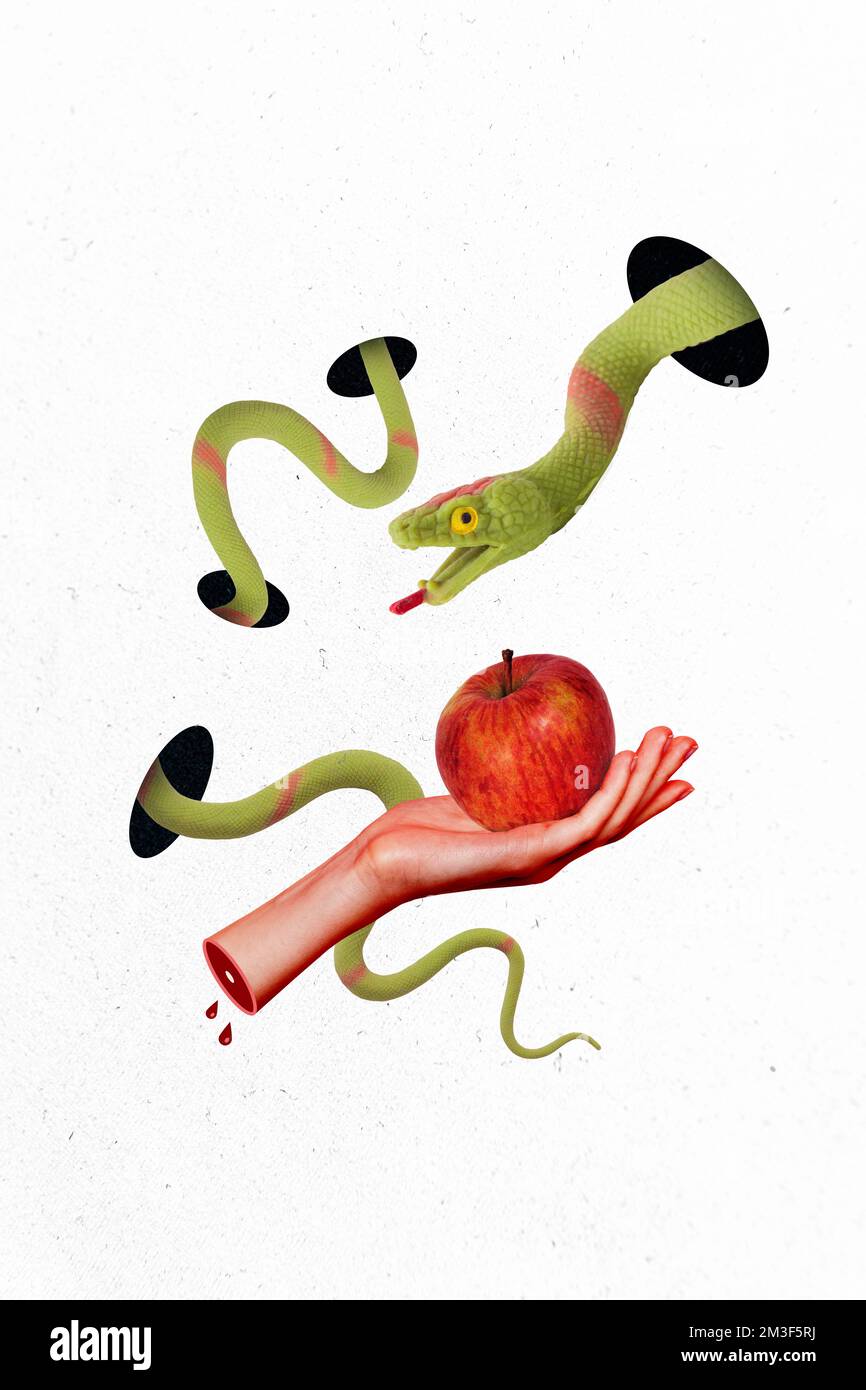 Creative photo 3d collage artwork poster of human hand hold forbidden ...