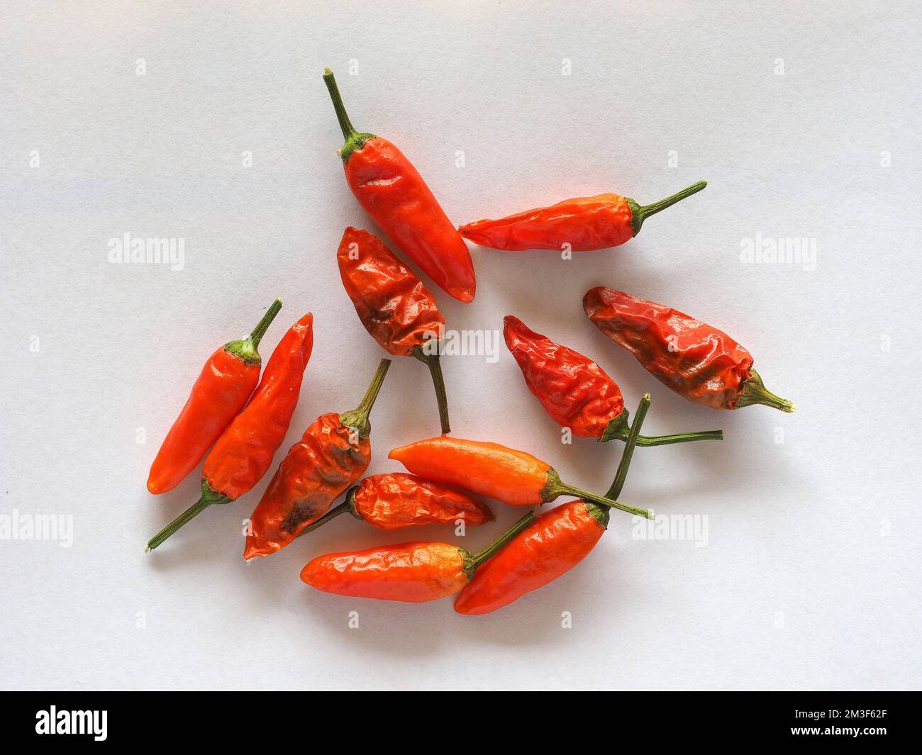 Red Hot Chili Pepper aka Capsicum or Chilli Stock Photo - Alamy