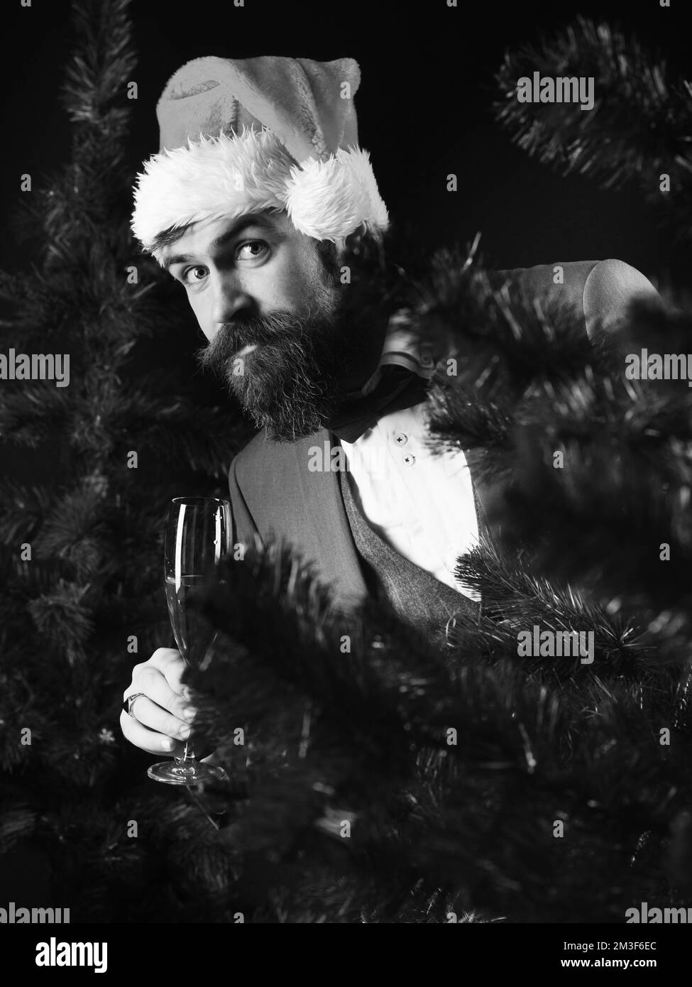 Fir young christmas tree Black and White Stock Photos & Images - Alamy