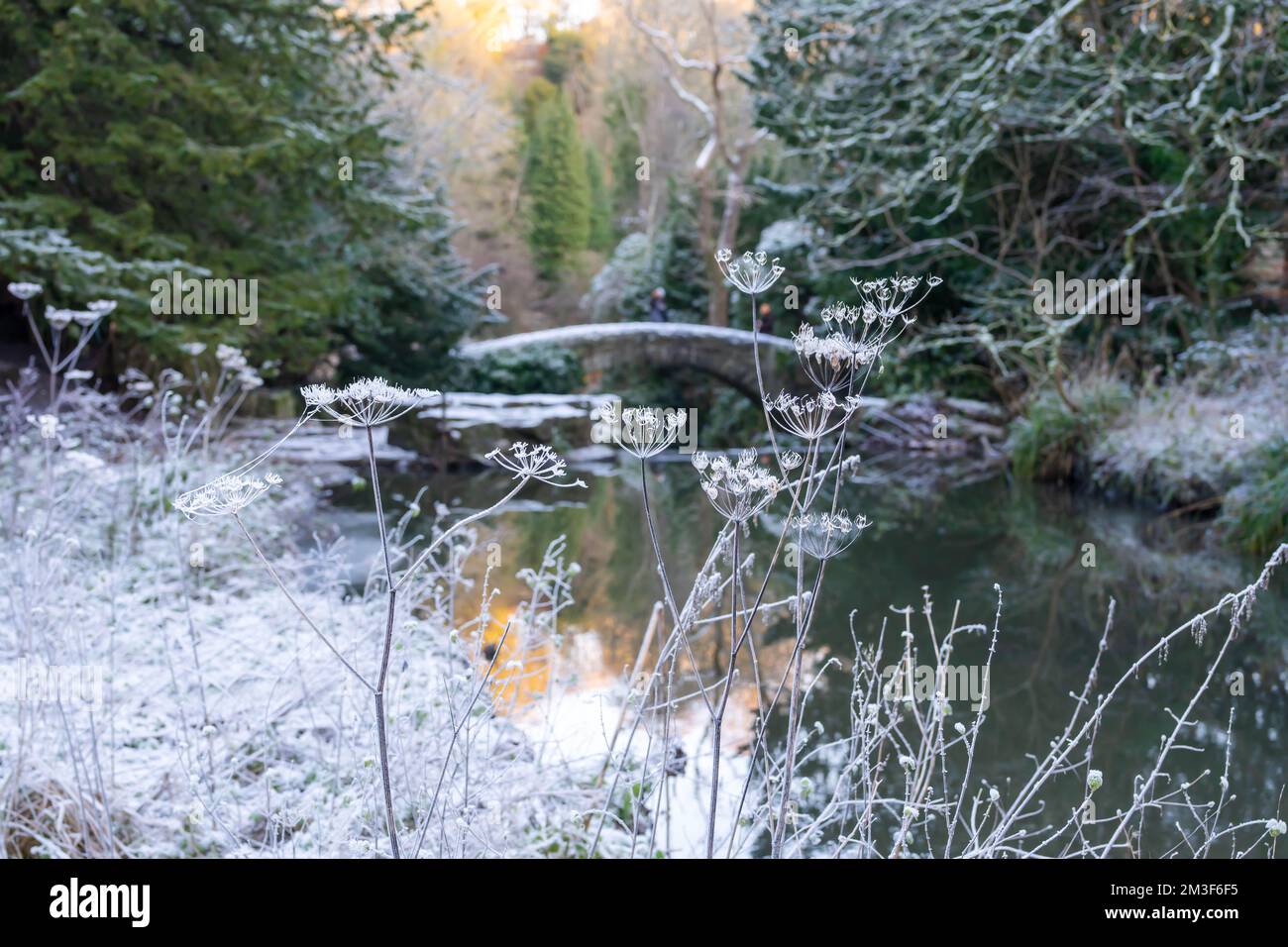 Icy weather conditions in winter in Jesmond Dene, a public park in ...