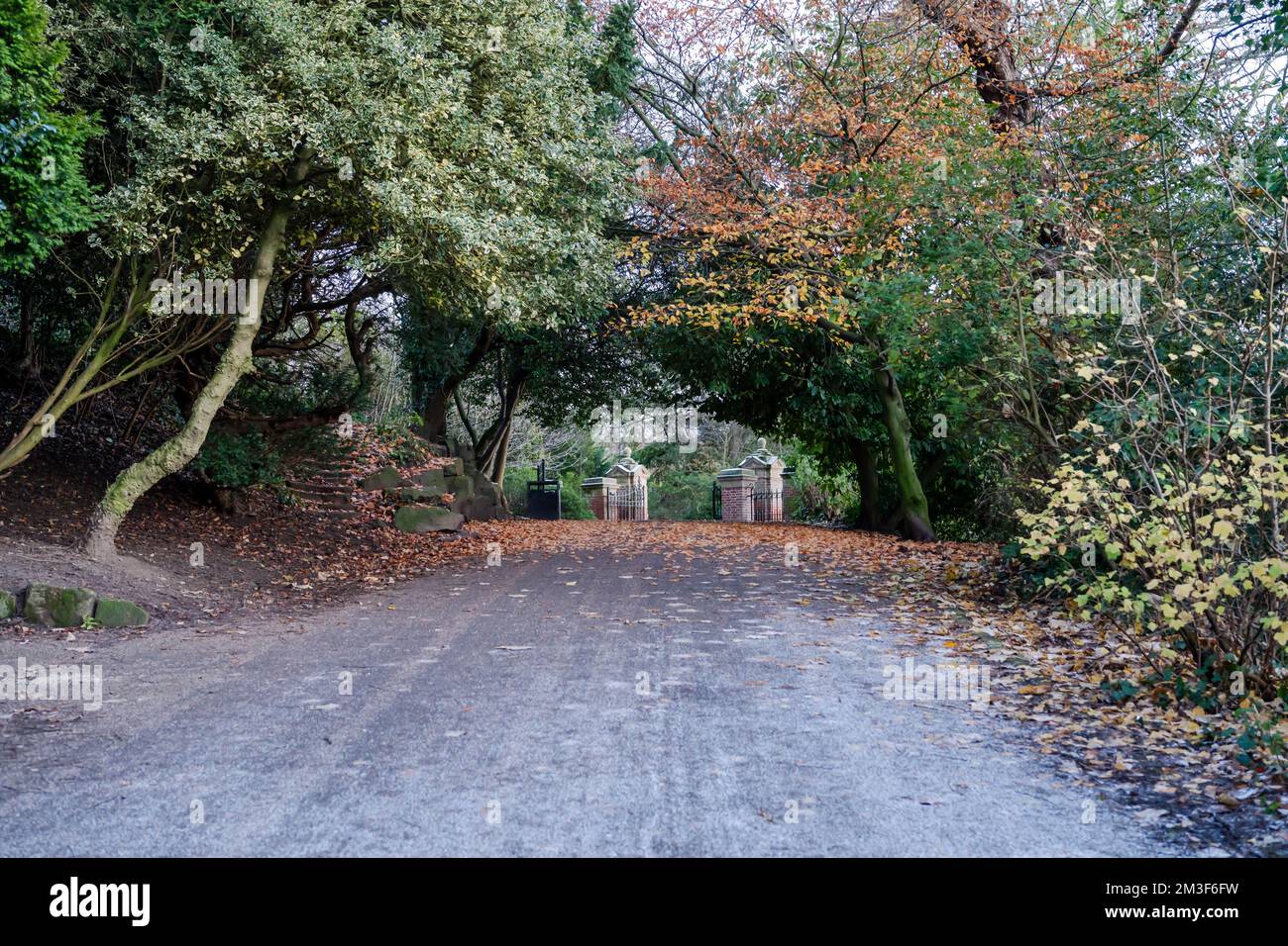 Icy weather conditions in winter in Jesmond Dene, a public park in ...
