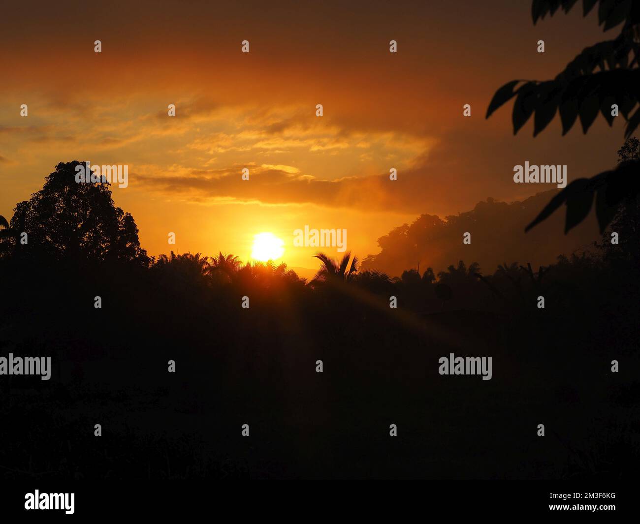 Jungle sunrise hi-res stock photography and images - Alamy