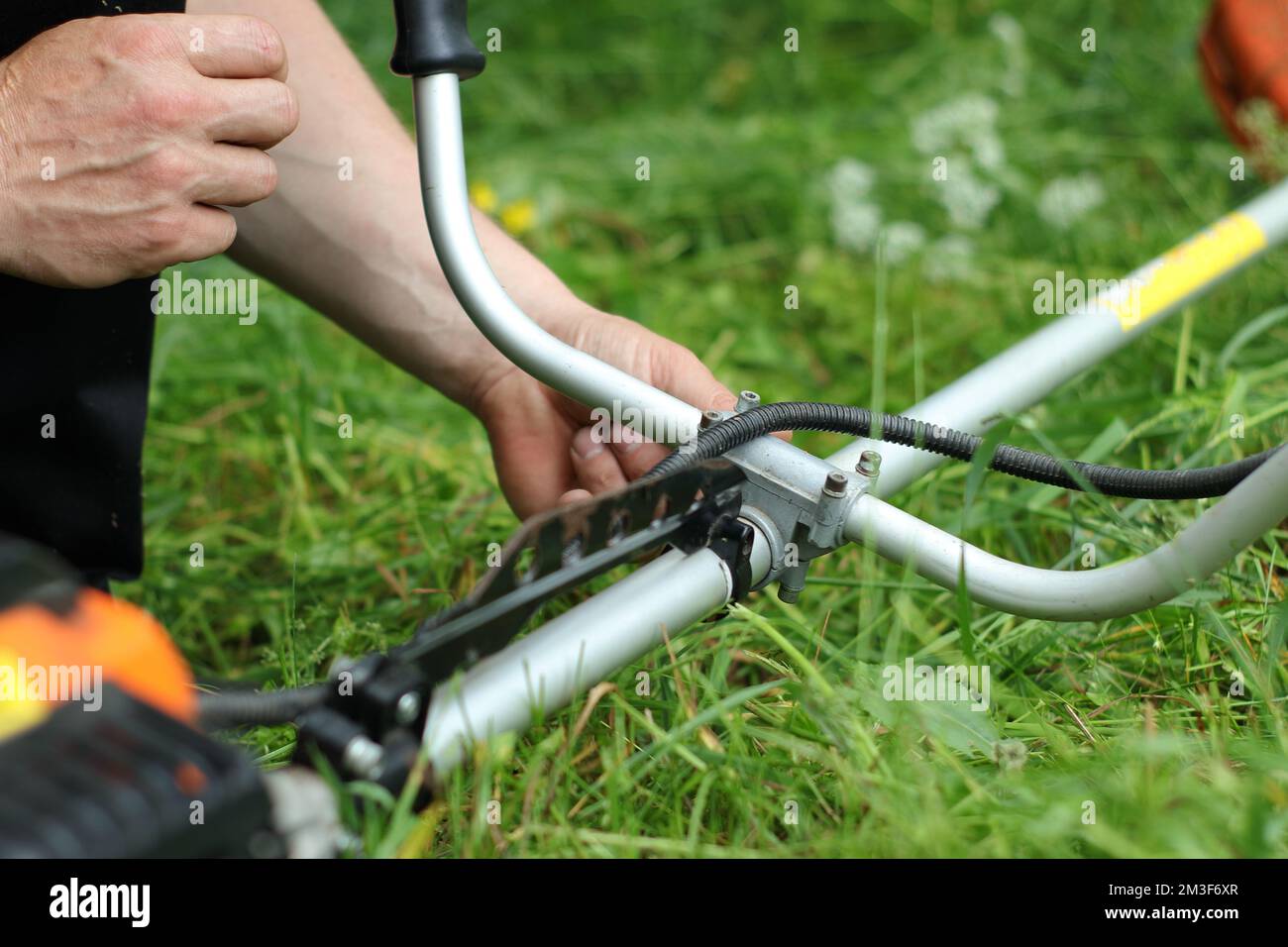 a person adjusts the handles on the petrol brush cutter before mowing ...
