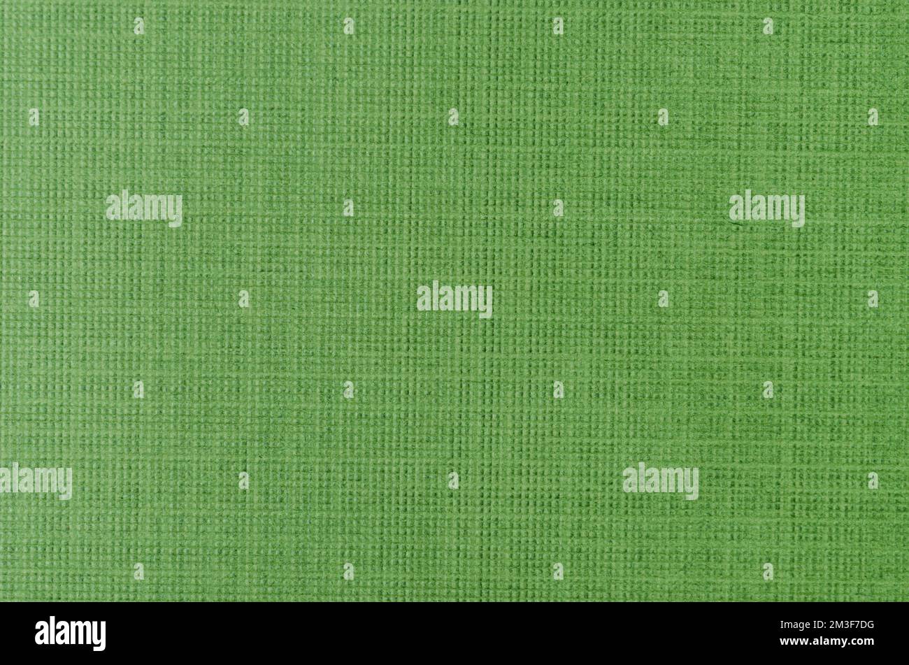 Light green matte background hi-res stock photography and images - Alamy